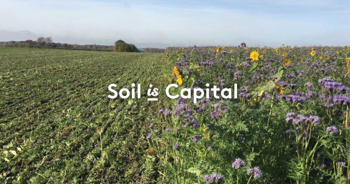 Track record – Regenerative farming | Soil Capital Farming